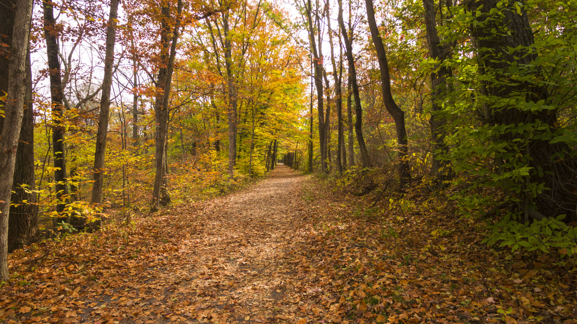 Fall is the perfect time to take a day trip to the Lehigh Valley