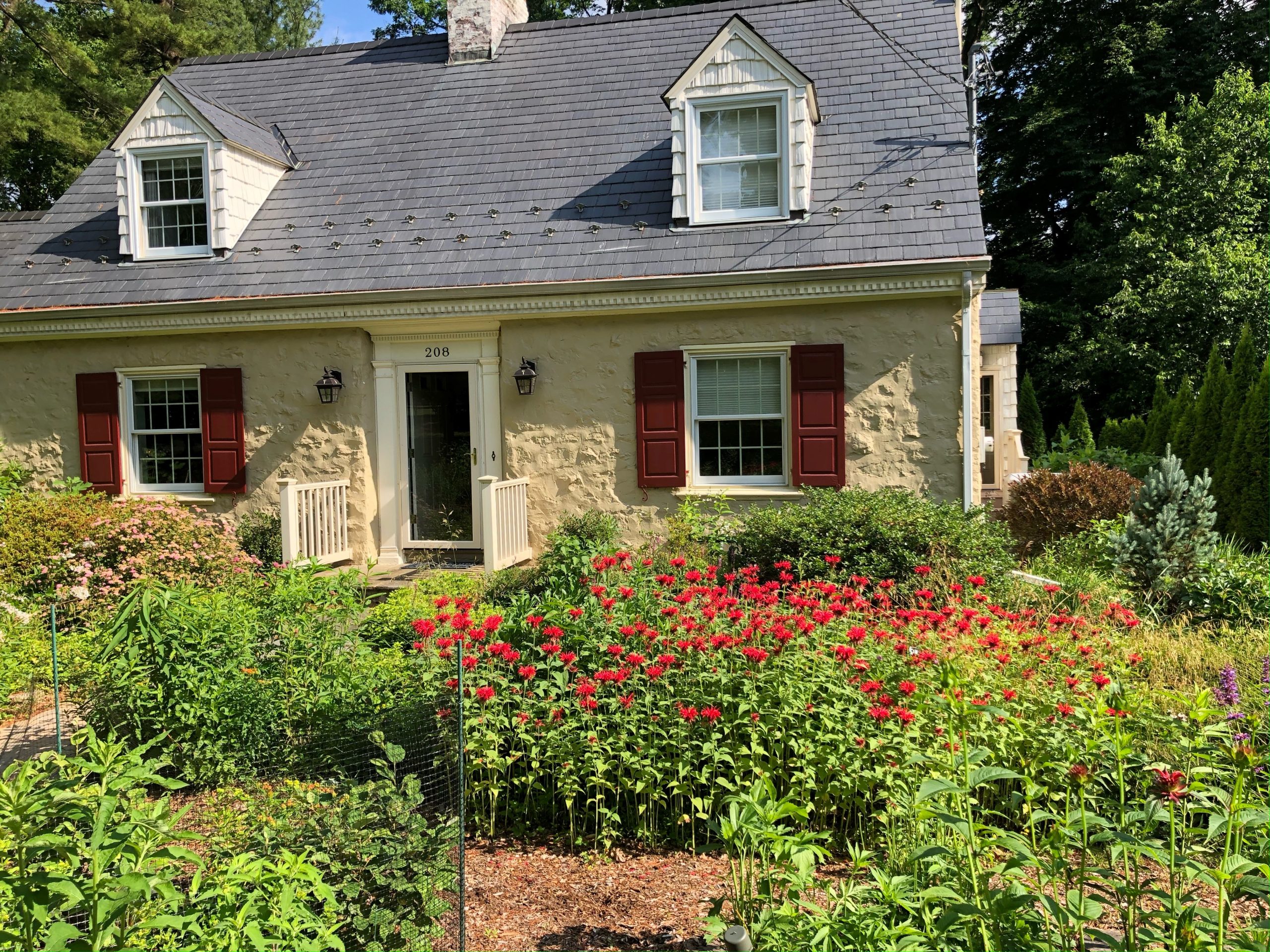 Lehigh Valley boasts a blossoming native plant scene